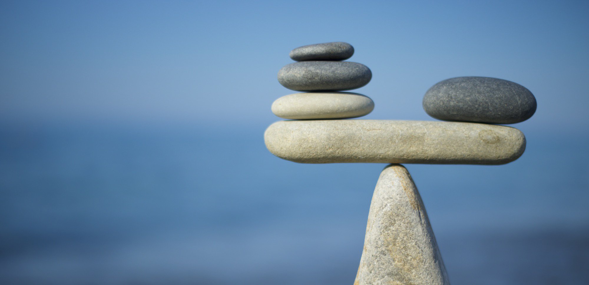 Juuriharjan palvelu: arvot toiminnan perustana